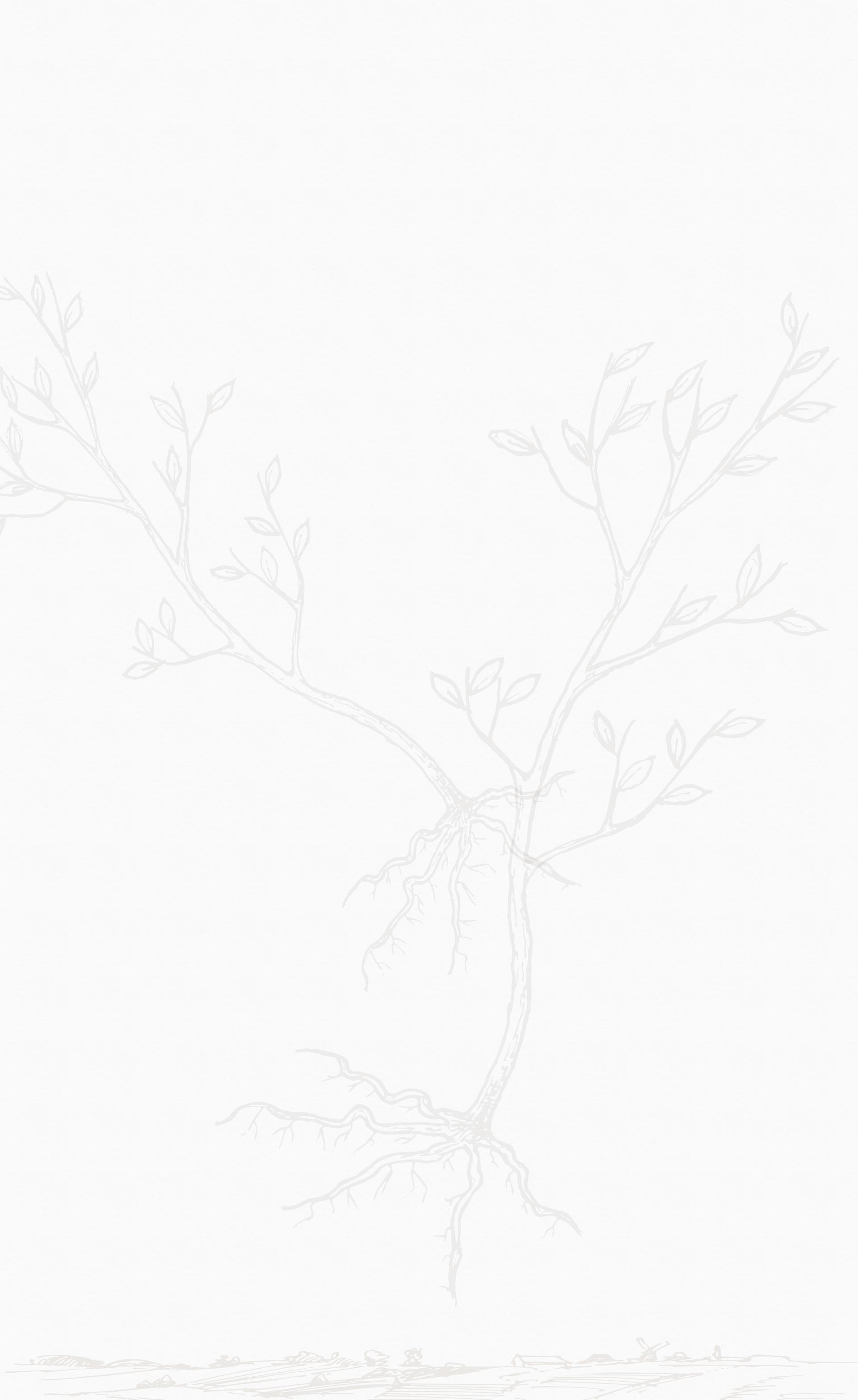 Volemos | what-we-do-background-image